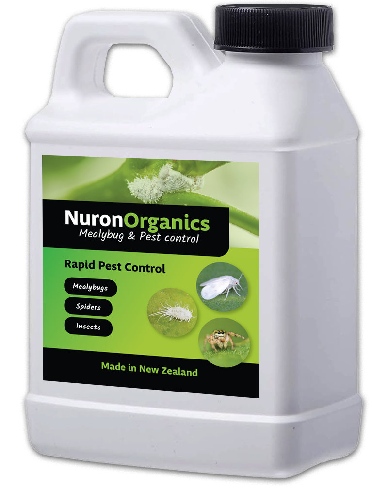 Nuron-BioSafe | Fusarium eradication – Nuron